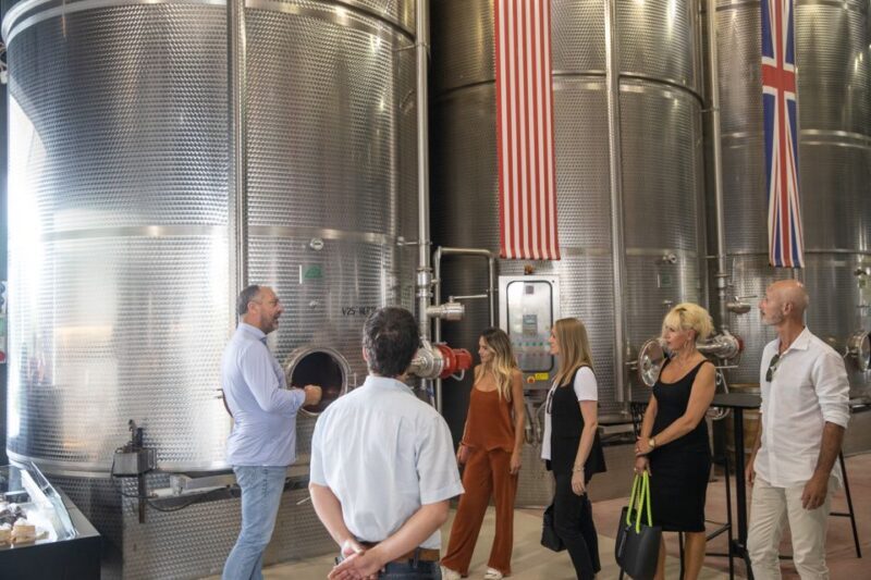 Lazise: Vineyard Tour and Organic Wine Tasting - An Introduction to a Modern, Sustainable Winery