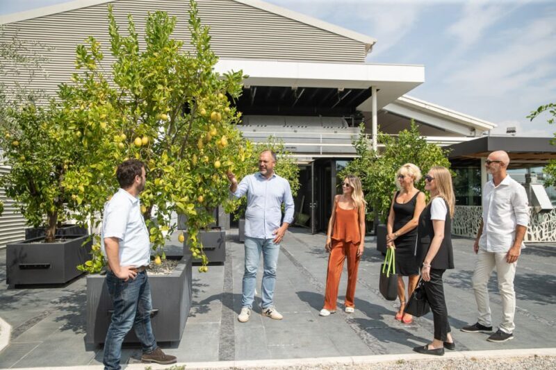 Lazise: Vineyard Tour and Organic Wine Tasting - Why This Tour Stands Out