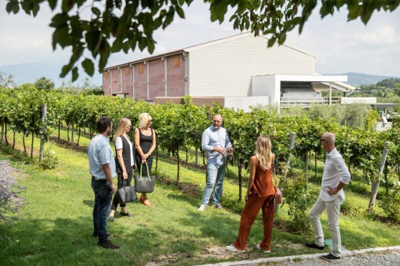 Lazise: Vineyard Tour and Organic Wine Tasting - The Practical Side: Price, Duration, and Accessibility