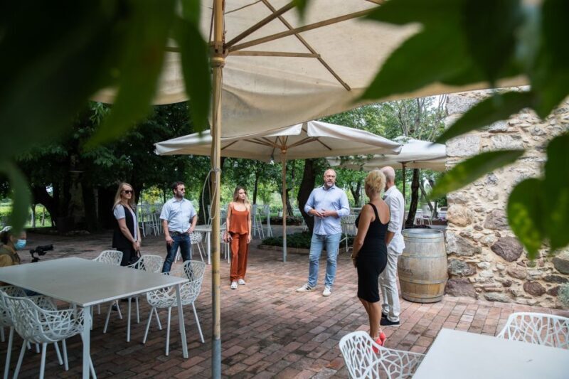 Lazise: Vineyard Tour and Organic Wine Tasting - Who Will Enjoy This Experience?