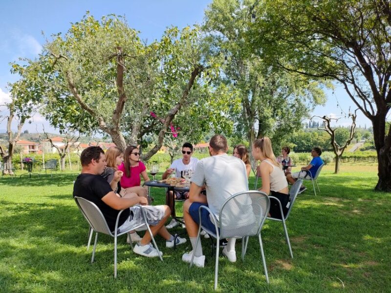 Lazise: Wine Tasting with Charcuterie and Cheese Board - Key Points