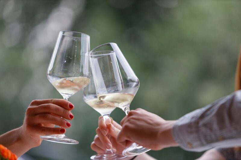 Lazise: Winery Tour with Garda Wines and Food Tasting - Key Points