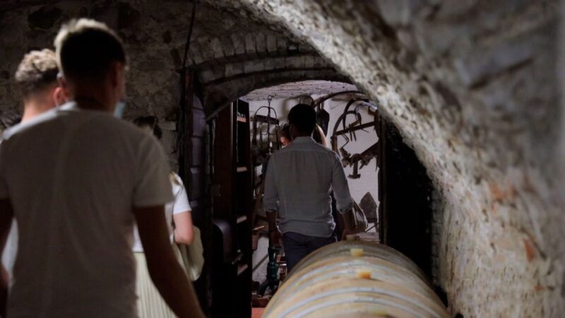 Lazise: Winery Tour with Garda Wines and Food Tasting - Who Will Love This Tour?