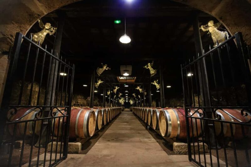 Le Hameau Duboeuf: The 1st Vine and Wine Theme Park Tour - What Reviewers Say