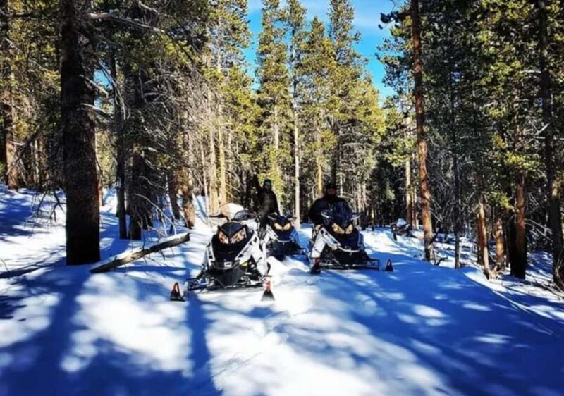 Leadville: Guided Snowmobile High Adventure Tour - Introduction: An Adventure for the Experienced Rider