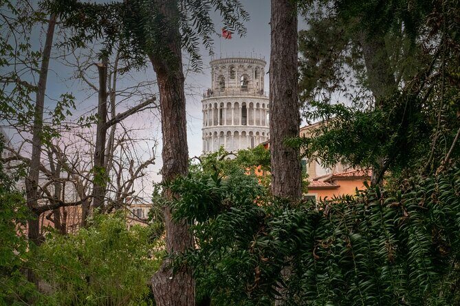 Leaning Tower of Pisa, Cathedral, Baptistery timed Entry Tickets - What Does the Experience Offer?