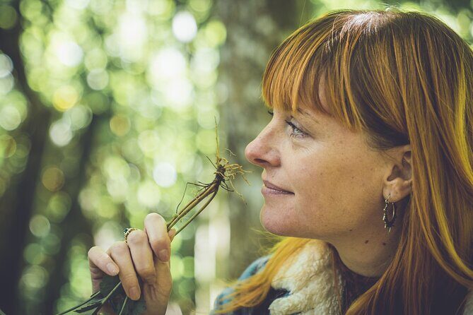 Learn to forage in Llangollen - Key Points