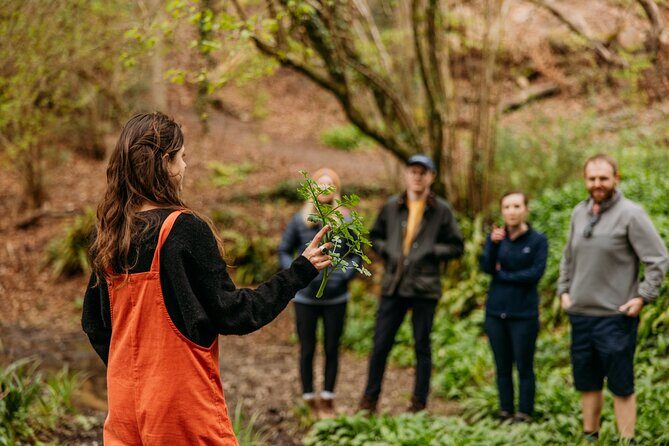 Learn to forage in Llangollen - An In-Depth Look at the Llangollen Foraging Tour