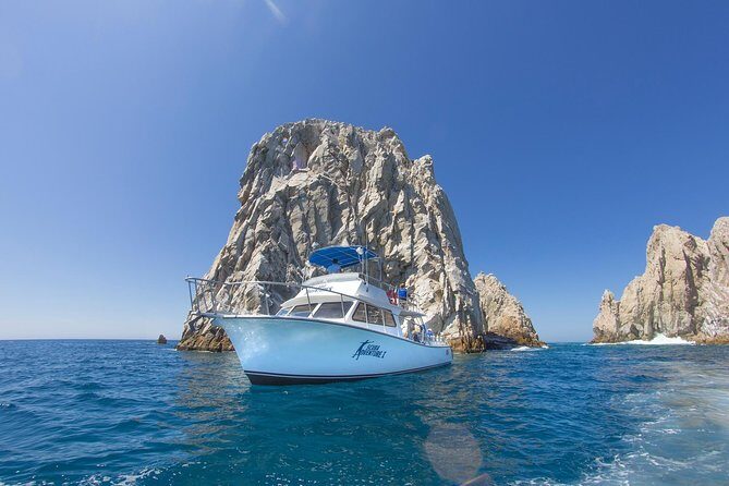 Learn to Scuba Dive in Cabo San Lucas with PADI - Who Would Love This Experience?  
