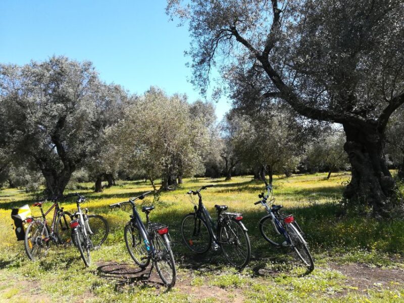 Lecce: Bike Rental (City, Trekking, E-Bikes) - Final Thoughts: Is It Worth It?  
