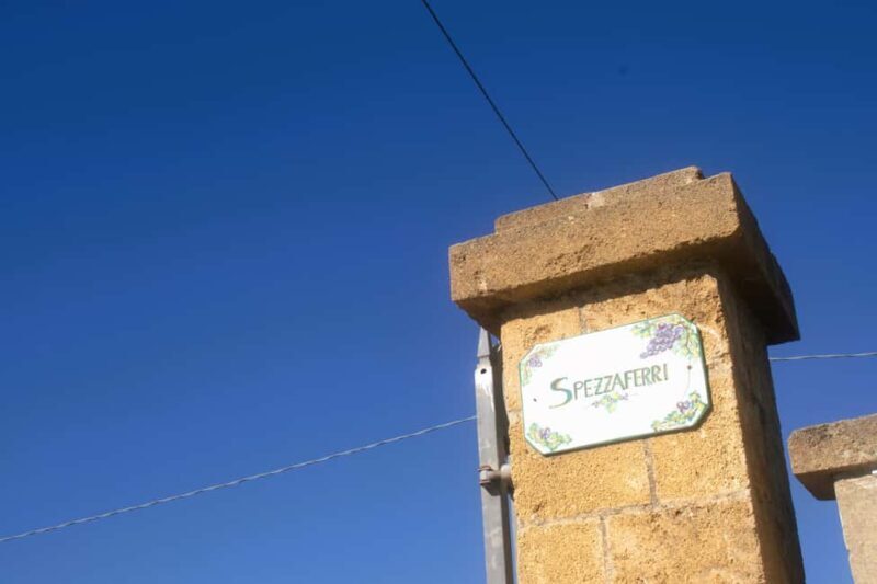 Lecce: Countryside Vineyard Walk & Wine Tasting - Exploring Salento’s Countryside — What to Expect from the Tour