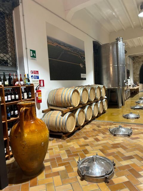 Lecce: E-Bike Tour to Galatina Olive Mill & Wine taste +Taxi - An In-Depth Look at the E-Bike Tour Experience