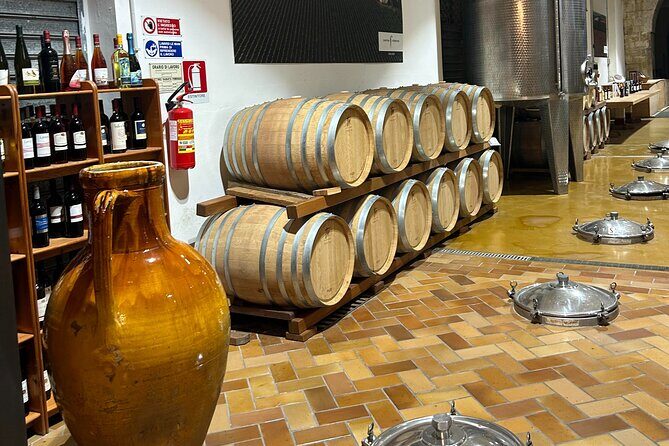 Lecce to Galatina E-Bike: Olive Mill & Wine Tasting + Taxi back - FAQ: Your Questions About the Lecce to Galatina E-Bike Tour