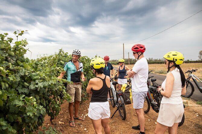 Lecce to Gallipoli E-Bike Tour with Swim, Farm Tasting +Taxi back - Final Thoughts