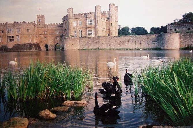 Leeds Castle, Canterbury and White Cliffs of Dover - Driver Guide - FAQ