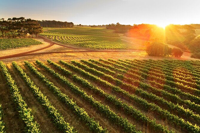 Leeuwin Estate Immersion Experience - Frequently Asked Questions  