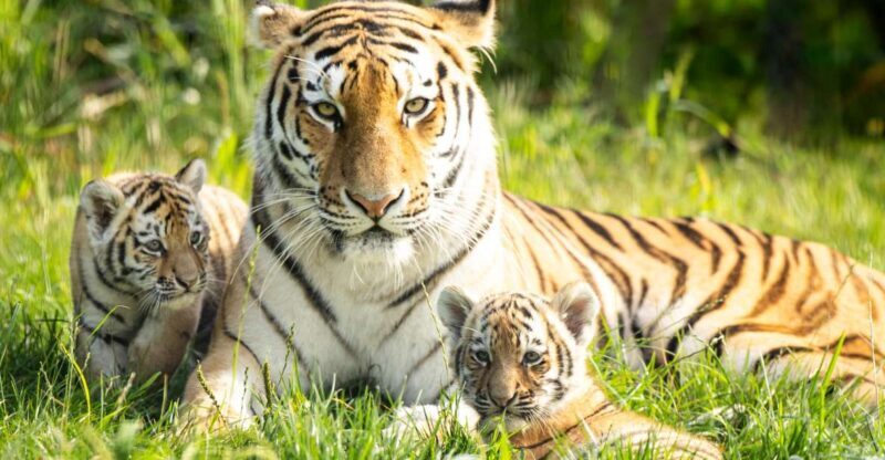 Leewarden: AquaZoo Entry Ticket - Final Verdict