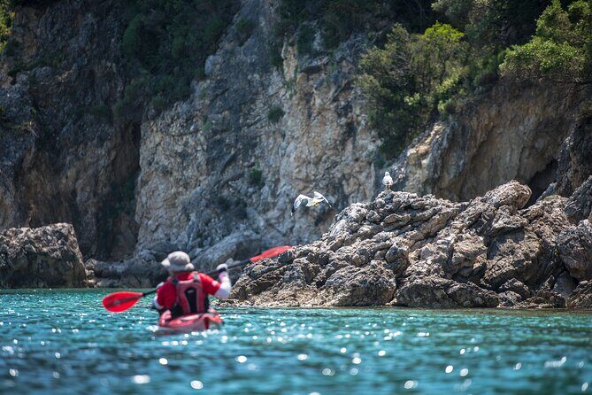 Lefkada Kayak : Explore Blue Cave with a Taste of Greece - Who Will Love This Experience?