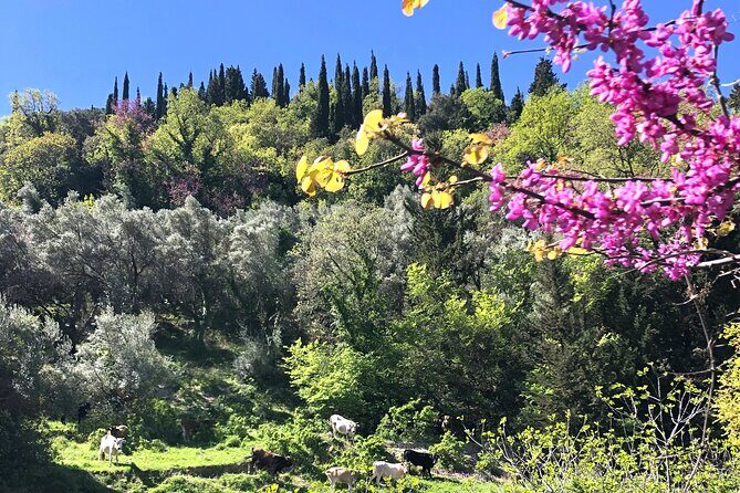 Lefkada: Mountain Gems Electric Fat Bicycle Tour & Tasting - FAQ