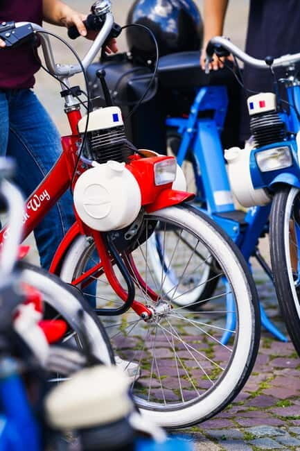 Left Bank Highlights: Guided Vintage Bike Tour on a Solex - The Sum Up