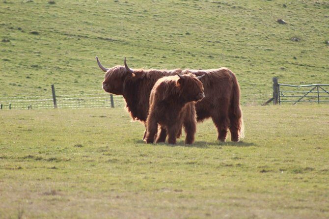 Legendary Loch Ness and Urquhart Castle Tour - The Sum Up