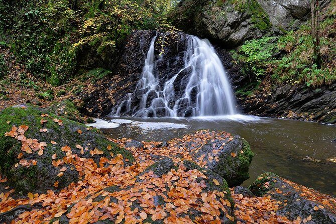 Legendary Tour of the Black Isle from Inverness or Invergordon - FAQ