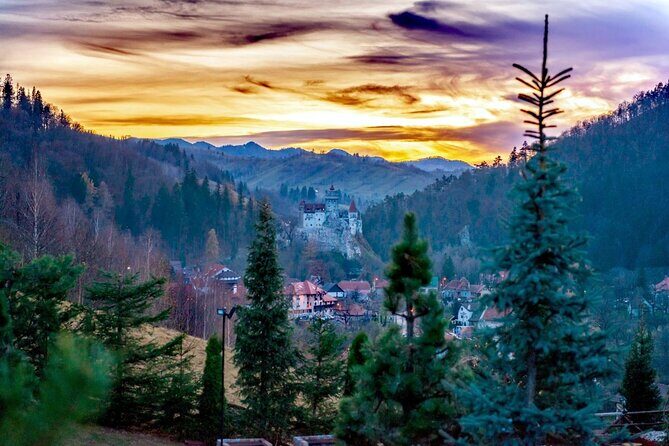 Legends&Wildlife Awaits: Dracula's Castle & Bear Sanctuary - Is This Tour Worth It?