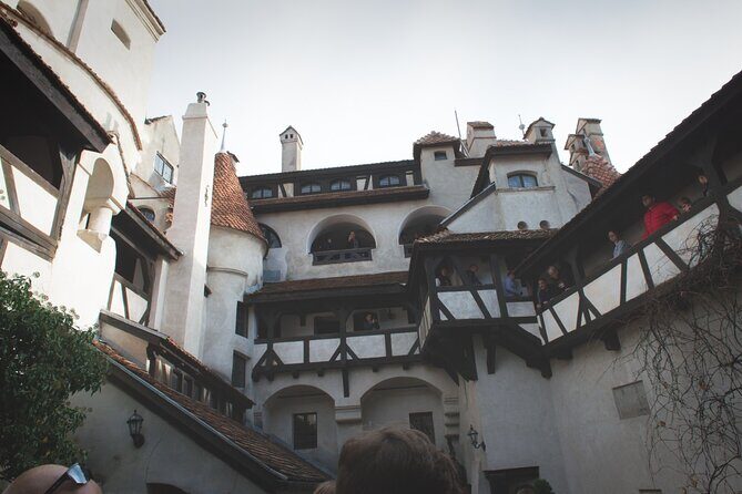 Legends&Wildlife Awaits: Dracula's Castle & Bear Sanctuary - Final Thoughts
