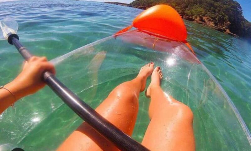 Leigh: Goat Island Clear Kayak Rental - Key Points