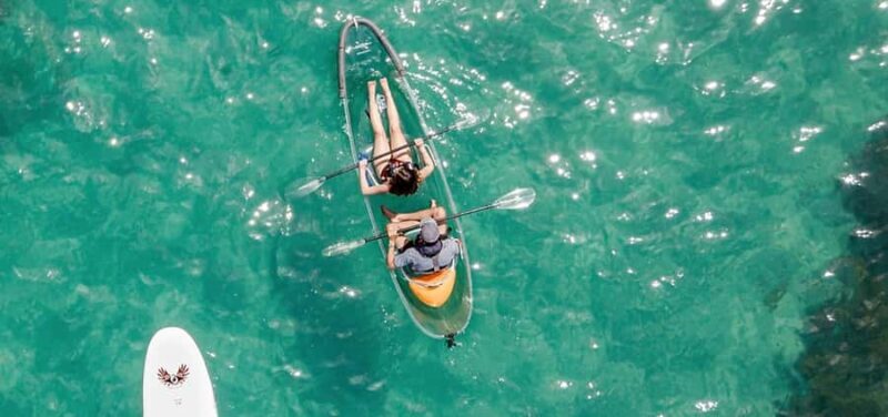 Leigh: Goat Island Clear Kayak Rental - An In-Depth Look at the Goat Island Clear Kayak Experience