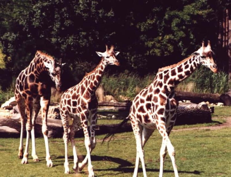 Leipzig: 3-Hour Bike Tour - Leipzig: 3-Hour Bike Tour Review