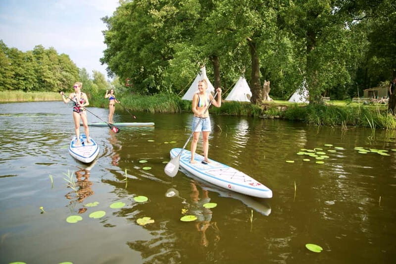 Leipzig: Cospudener Lake Stand-Up Paddleboard Course - The Experience on the Water