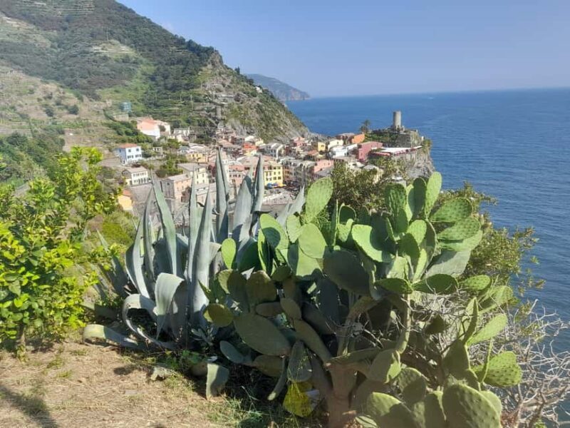 Lemon tour with Limoncino and Wine tasting in Vernazza (Cinque Terre) - Tasting Local Products