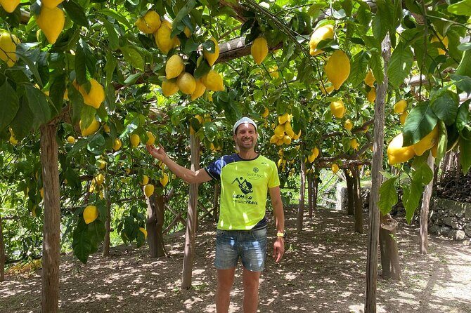 Lemon Trail : Lemon Tour with Tasting - Exploring the Lemon Trail with Tasting: A Juicy Adventure in Amalfi