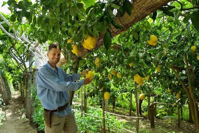 Lemon Trail : Lemon Tour with Tasting - Final Thoughts
