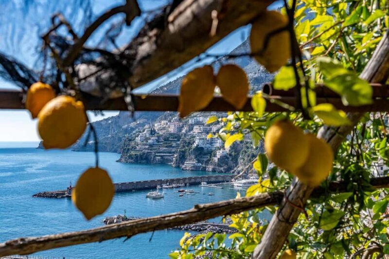 Lemons & Breathtaking Views: Amalfi Monumental Garden Tour - The Sum Up