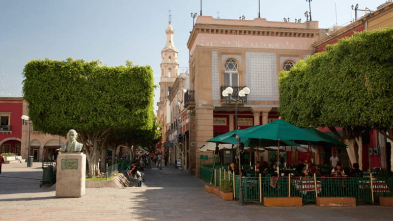 Leon: City Center Guided Tour with Nieve de Garrafa Tasting - Authentic Insights from Reviews