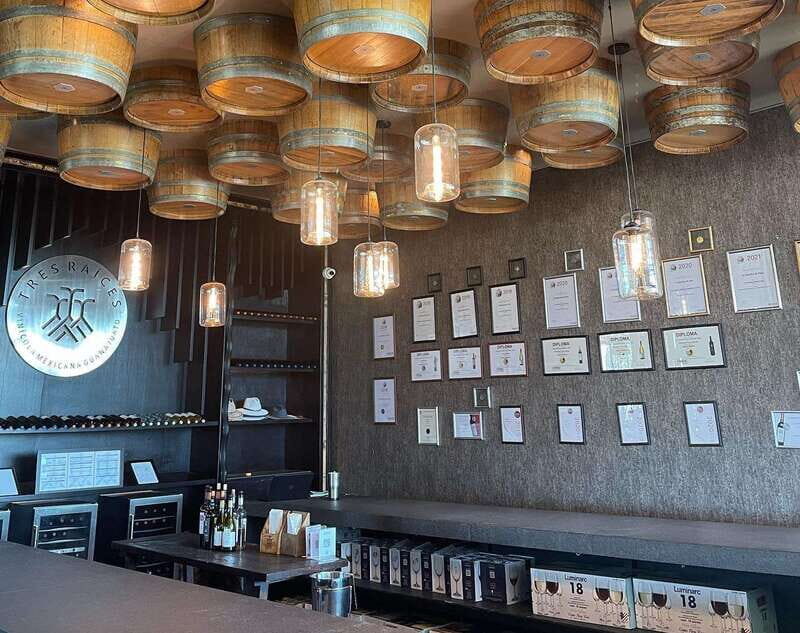 Leon: Dolores Hidalgo Viñedo Tres Raíces Wine Tour - An In-Depth Look at the Tour Experience