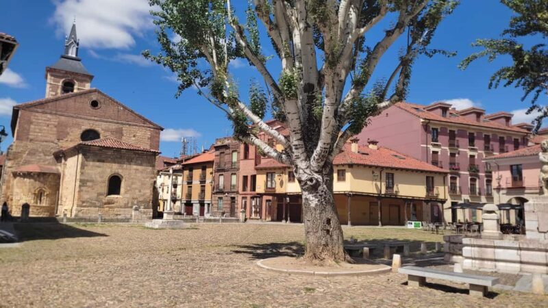 León: Guided tour by a local art historian - Final Thoughts