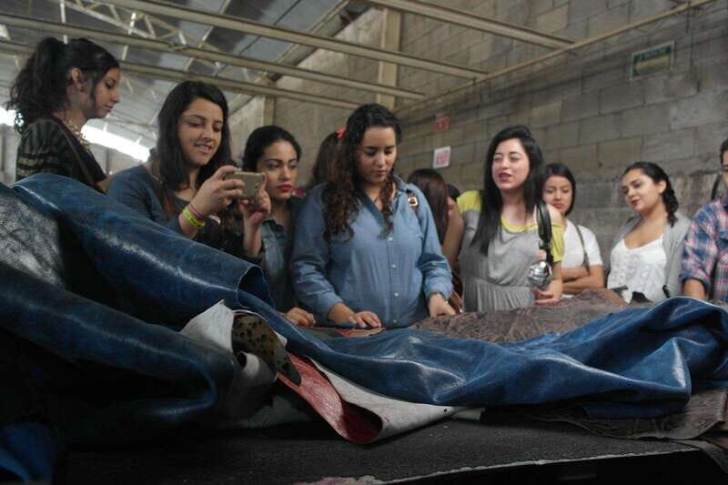 León: Leather and Footwear Industry Tour - Who Would Enjoy This Tour?