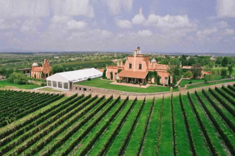 Leon: Viñedo Tierra de Luz Tour with Wine Tasting - Additional Practical Considerations