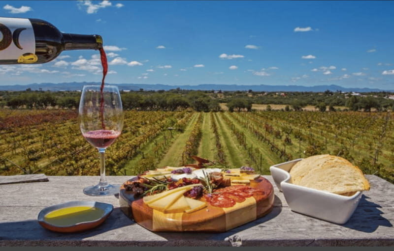 León: Wine Tasting & Vineyard Tour at Viñedo Jalpense - An Authentic Look at Viñedo Jalpense’s Wine Experience