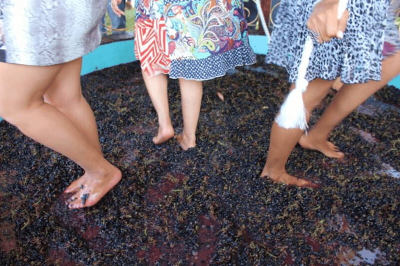 León: Wine Tour at Viñedo Leones & City Center Exploration - FAQ