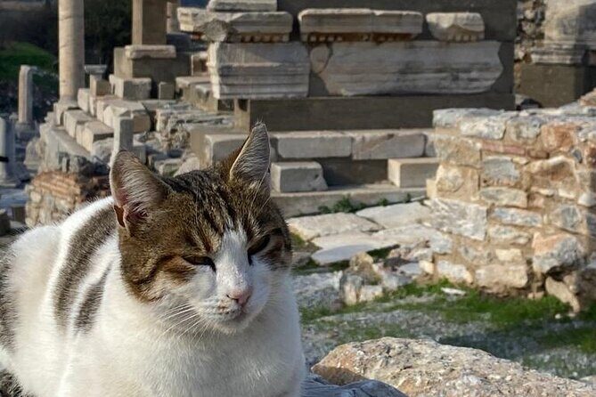 LESS Walking Tour : Private Ephesus, House of Virgin Mary, Temple - Exploring the Itinerary in Detail