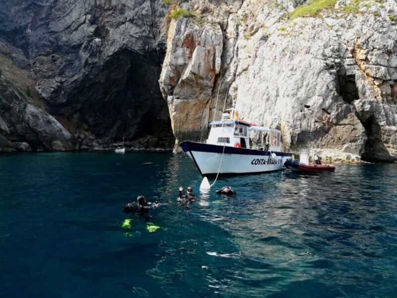L'Estartit: Dive and Snorkeling in Montgrí Natural Park - Practical Details and Value