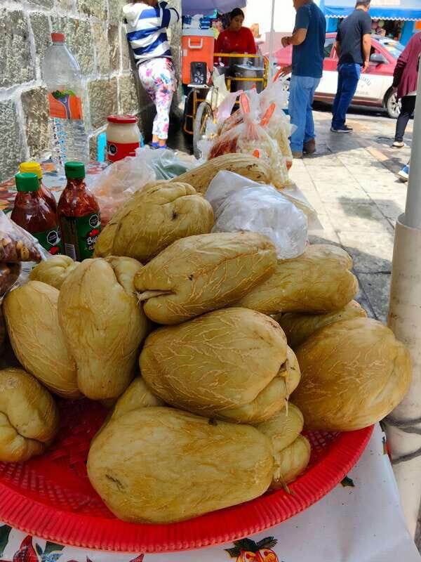 Let's embark on this splendid gastronomic journey together! - Final Thoughts