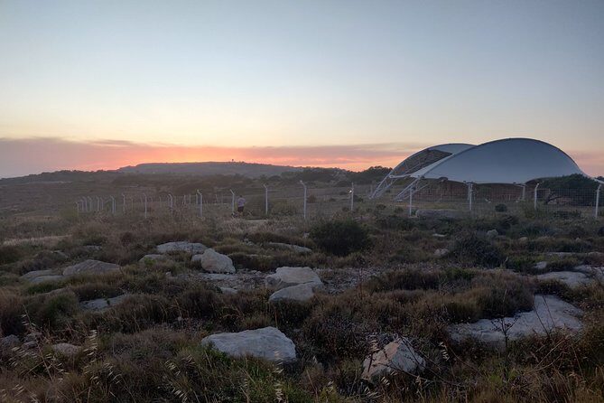 Let's Explore the Maltese Islands! (Half Day Private Group) - The Value