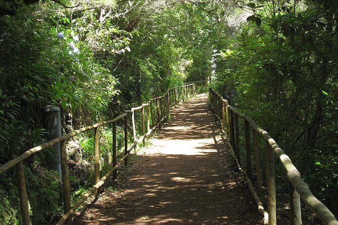 Levada do Caldeirão Verde Levada Walk from Funchal - Who Should Consider This Tour?