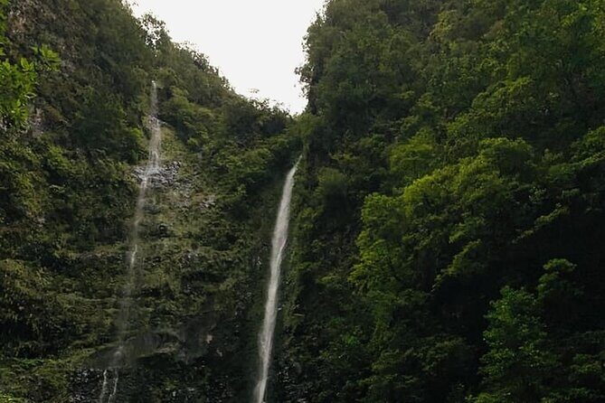 Levada do Caldeirão Verde Self-Guided Hike in Madeira - An In-Depth Look at the Levada do Caldeirão Verde Experience