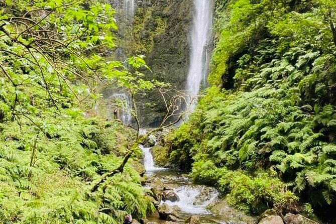 Levada do Caldeirão Verde Self-Guided Hike in Madeira - The Sum Up
